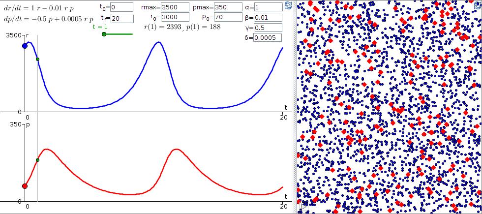 Applet Lotka Volterra Model With Functions Of Time And Population Display Math Insight
