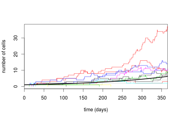 Image: Simulation results for cancer birth-death processs - Math Insight